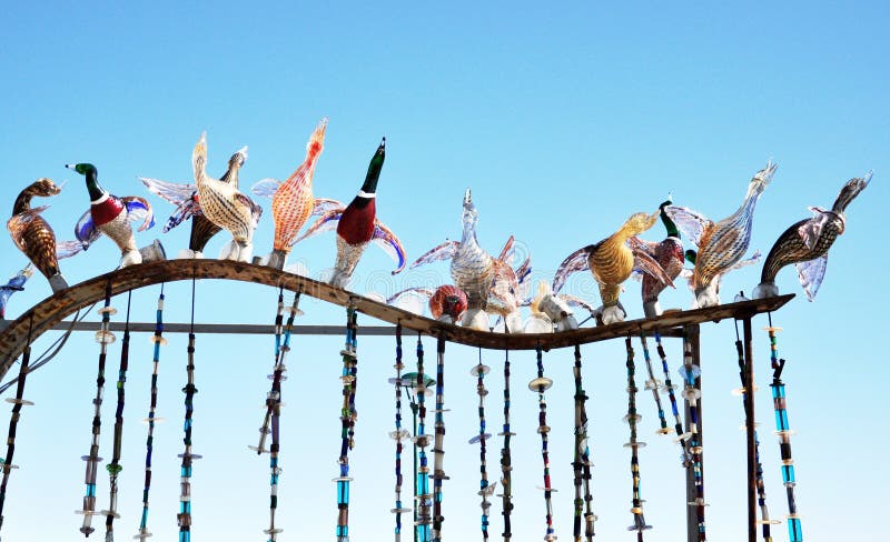 Place crowded of Birds stock photo. Image of grey, birds - 87401494