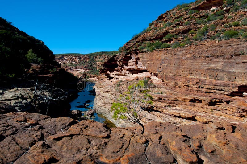 Murchison River Gorge stock image. Image of national - 125064083