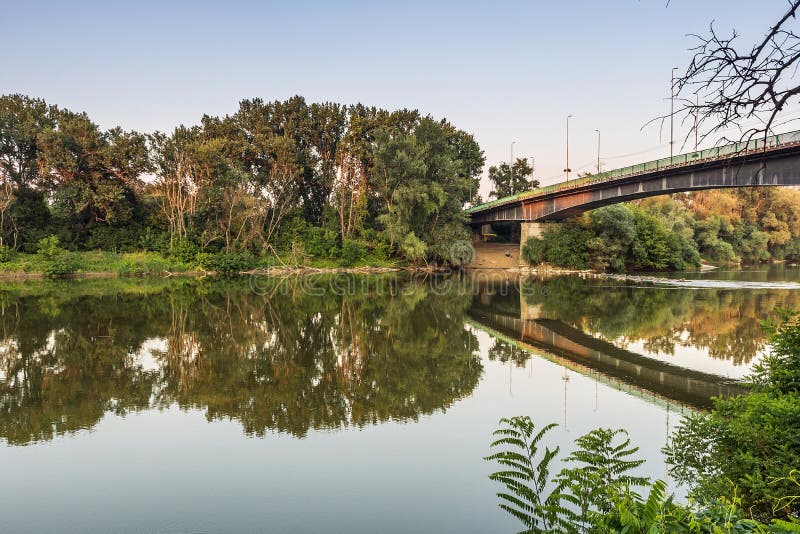 Mures river at the sunset stock photo. Image of shadows - 154527548