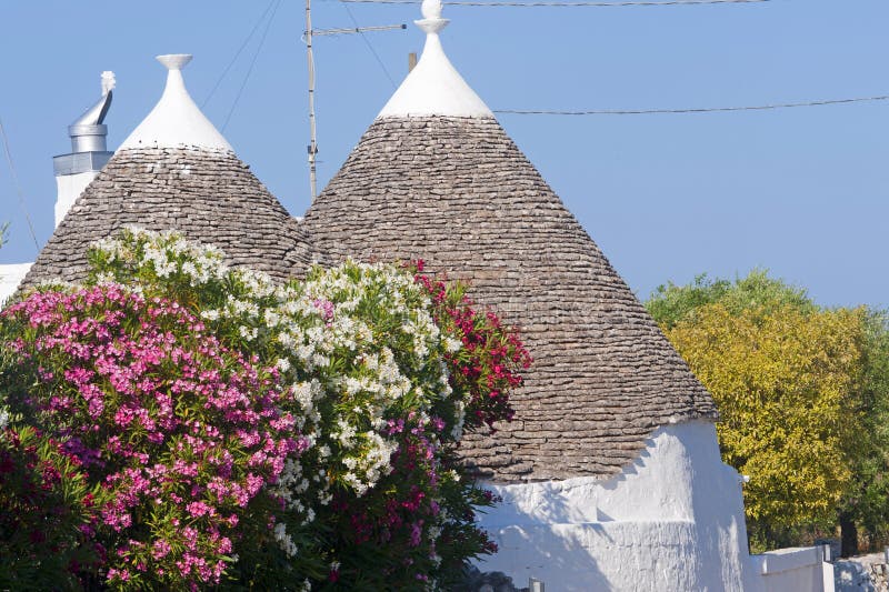 Murge (Puglia, Italy) - Trulli and Flowers Stock Image - Image of ...