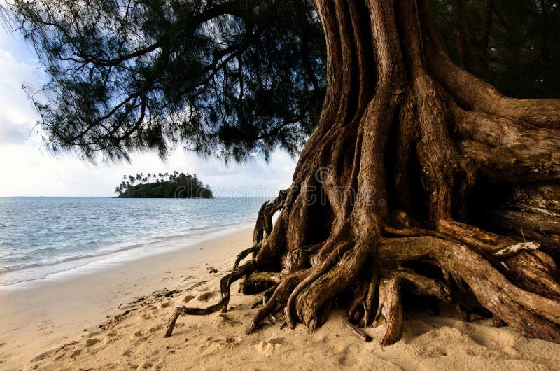 Muri Lagoon in Rarotonga Cook Islands Stock Image - Image of exotic ...
