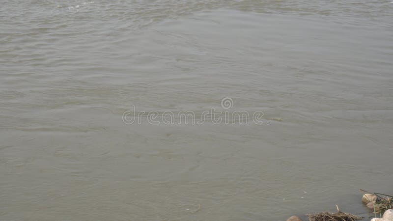 Murky River Water Flowing - Surface, Current, Nature Stock Footage ...
