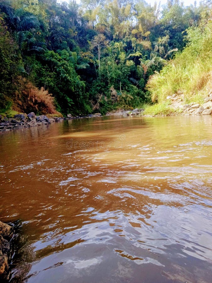 Murk Rivers Stock Photos - Free & Royalty-Free Stock Photos from Dreamstime