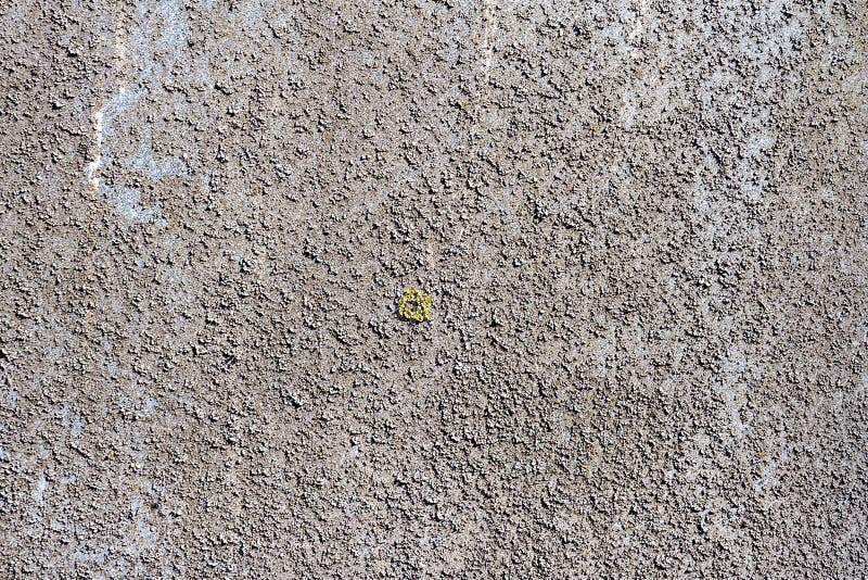 Muro De Cimento Velho Com Fundo Cinzento Da Textura Do Musgo Foto de ...