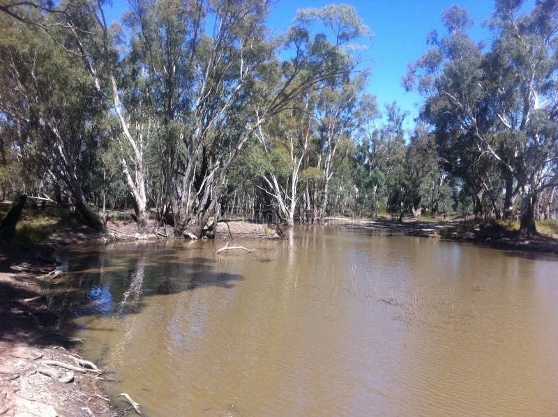 Murray River. stock image. Image of victoria, australia - 70831087