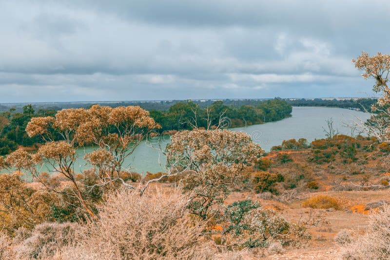 Murray River and Native Vegetation. Stock Image - Image of river ...