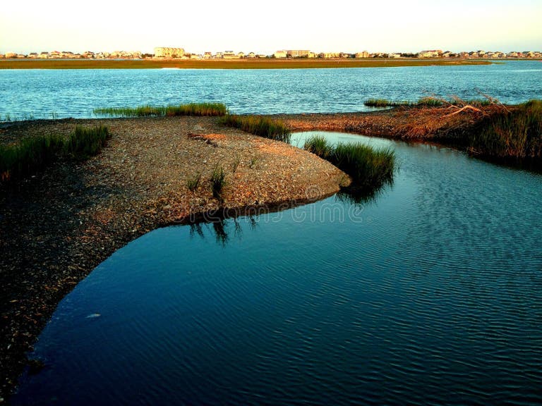 Murrells Inlet stock image. Image of south, grand, wetland - 71045649