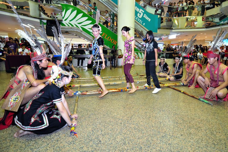 125 Bamboo Life Cycle Stock Photos - Free & Royalty-Free Stock Photos ...