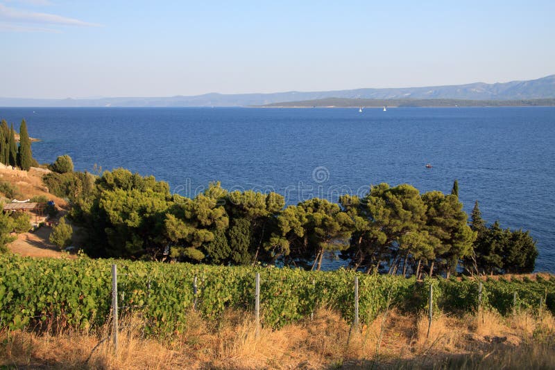 Murvica (Bol - ilha Brac) imagem de stock. Imagem de praia - 28173041