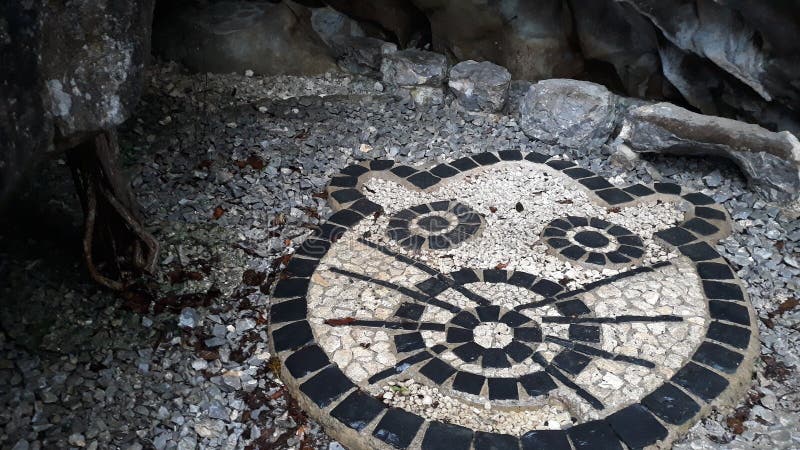 Musang stock image. Image of musang, philippines, extinct - 138207233