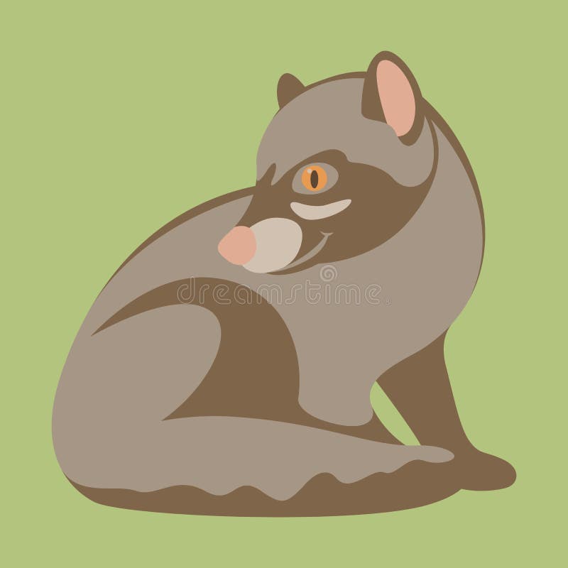 Musang Stock Illustrations – 92 Musang Stock Illustrations, Vectors ...