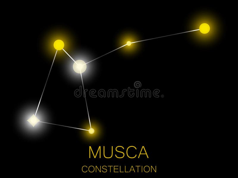 The Constellation Musca Star in the Night Sky. Stock Vector ...