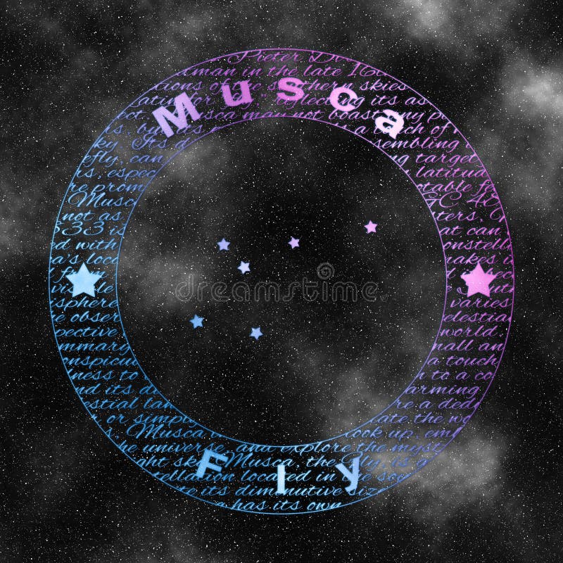 Musca Constellation, Fly Constellation Stock Illustration ...