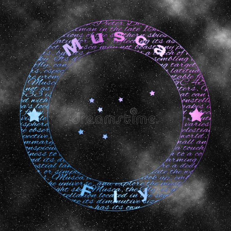 Musca Constellation, Fly Constellation Stock Illustration ...