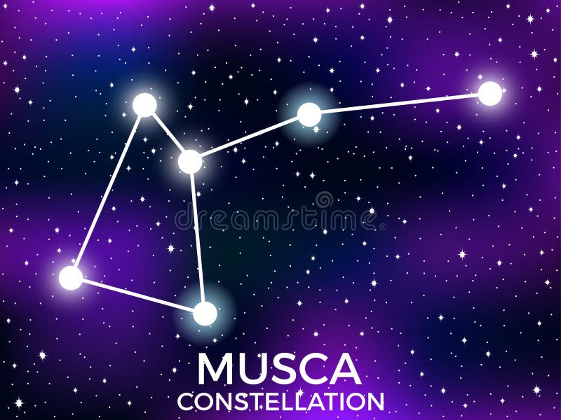 Musca Constellation. Starry Night Sky. Cluster of Stars, Galaxy. Deep ...