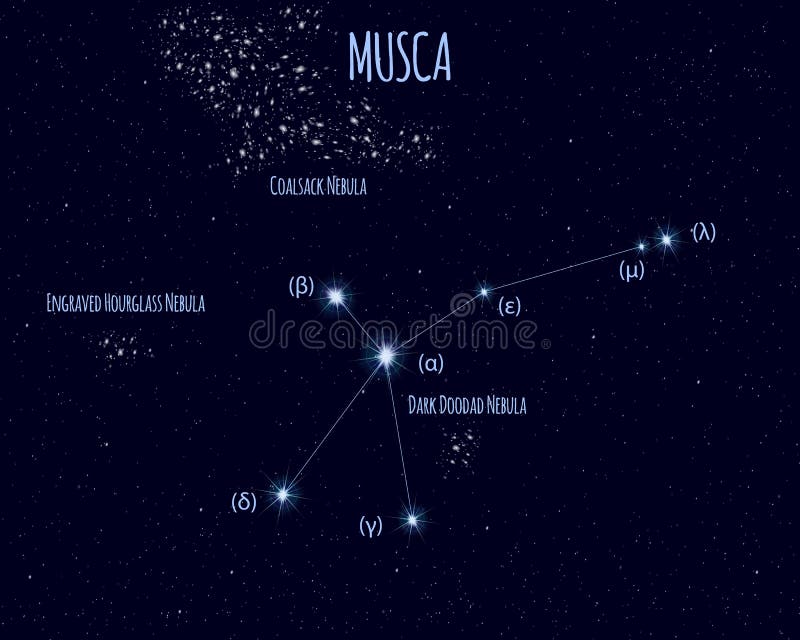 The Constellation Musca Star in the Night Sky. Stock Vector ...
