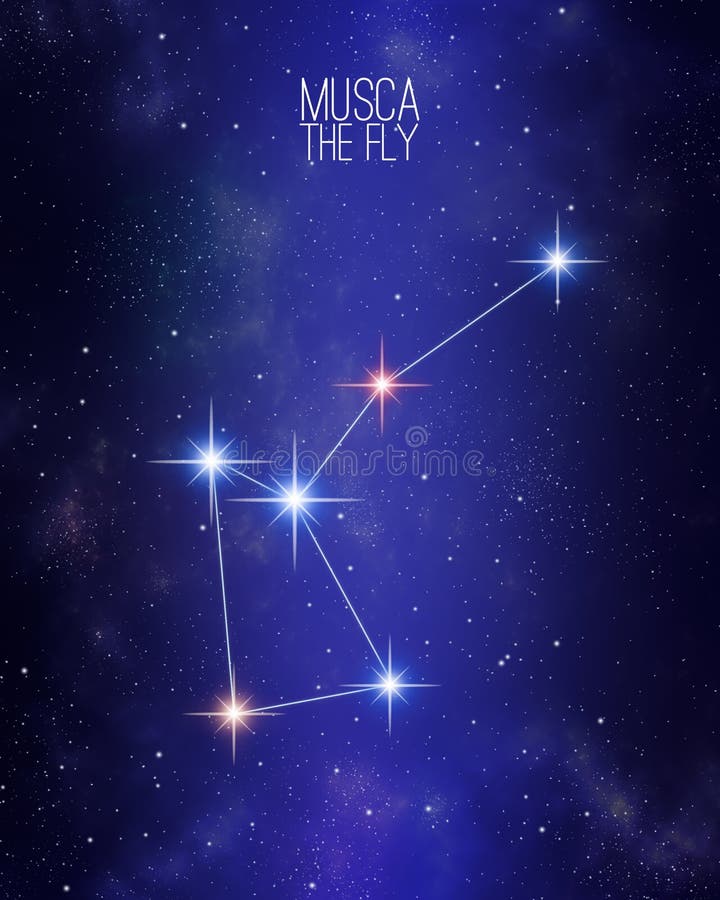 The Constellation Musca Star in the Night Sky. Stock Vector ...