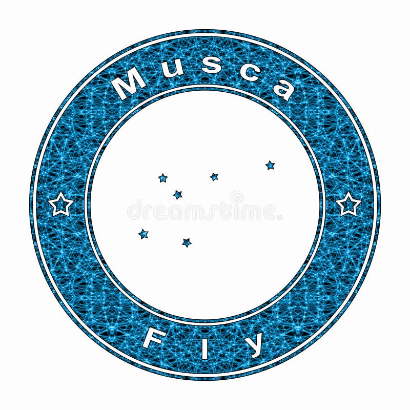 Musca Star Constellation, Fly Constellation Stock Illustration ...