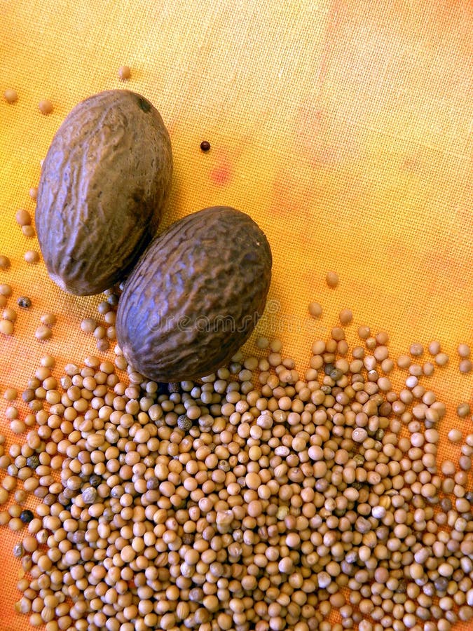 Muscat and coriander stock photo. Image of natural, muscat - 25904734