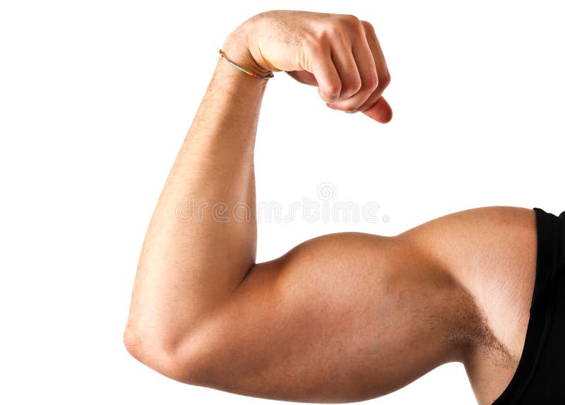 Muscle stock photo. Image of strong, biceps, athlete - 20647408