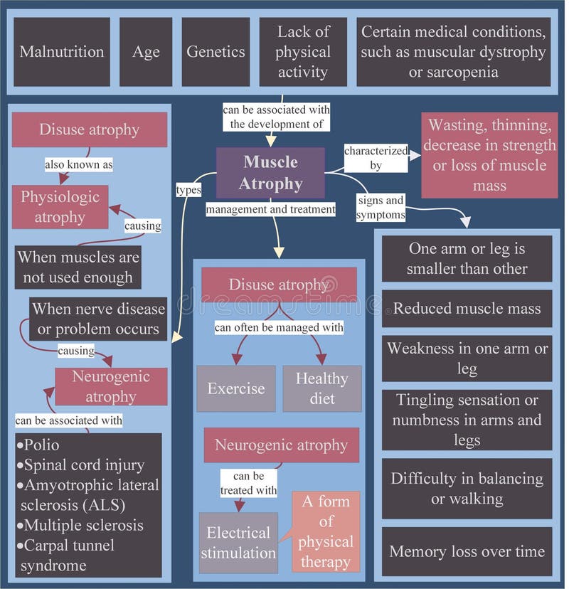 Muscle Atrophy is a Condition Characterized by Loss of Muscle Mass ...