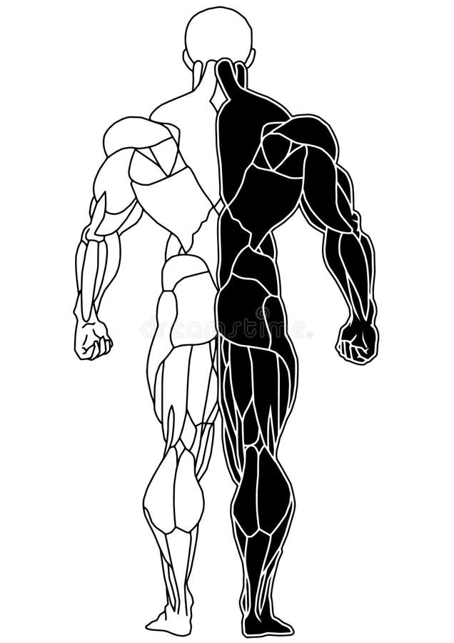 Muscle Man Cartoon Stock Illustrations – 24,983 Muscle Man Cartoon ...