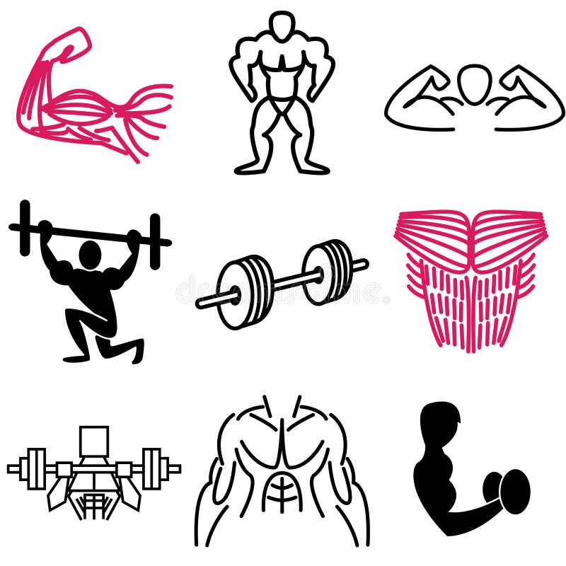 Muscle and gym icons stock illustration. Illustration of design - 24534346