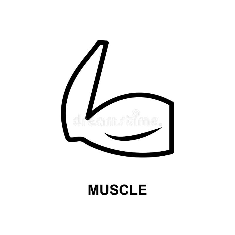 Muscle in Hand Simple Line Icon Stock Illustration - Illustration of ...