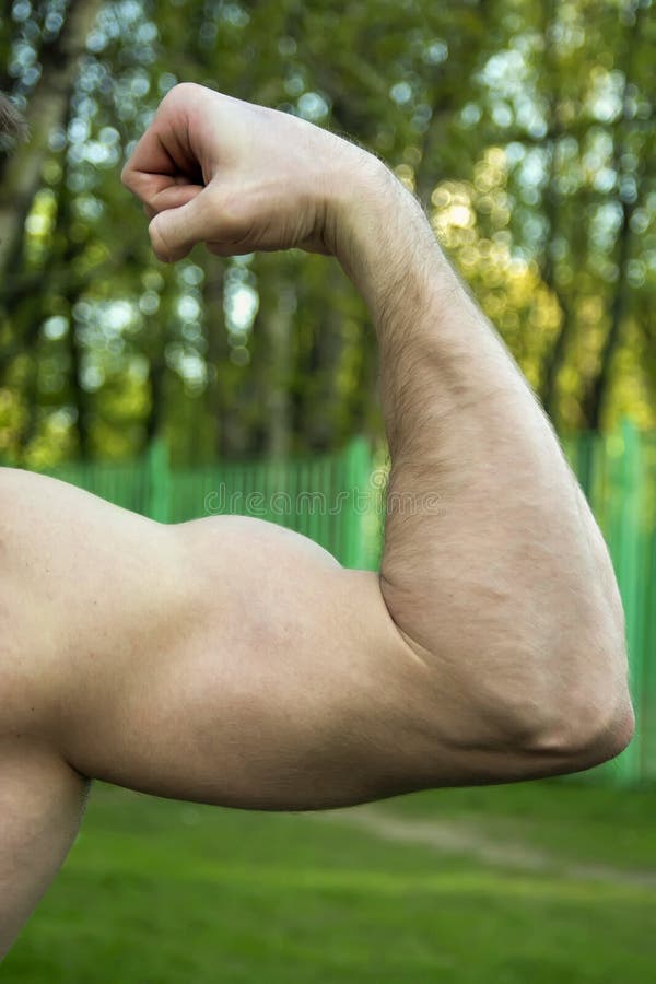 Muscle hand stock photo. Image of muscle, biceps, athletic - 55248502