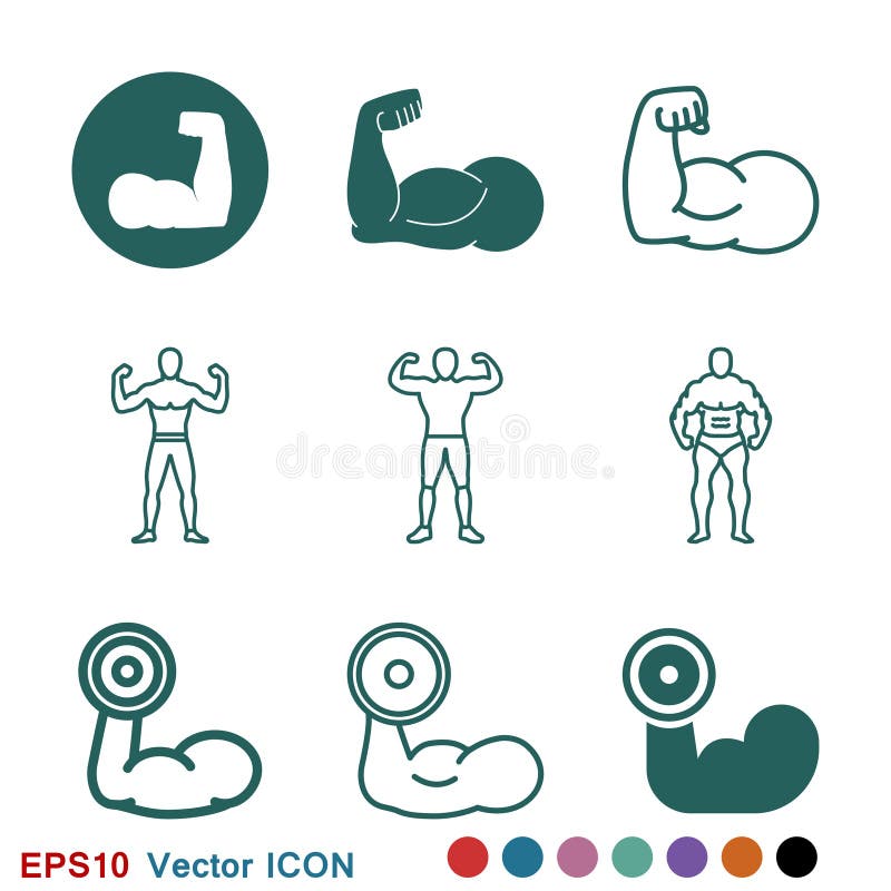 Muscle Icon Logo, Illustration, Sign Symbol For Design Stock ...