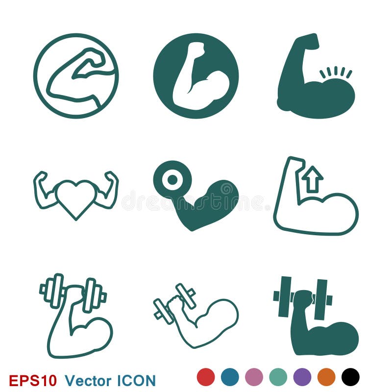 Muscle Icon Logo, Illustration, Sign Symbol for Design Stock ...