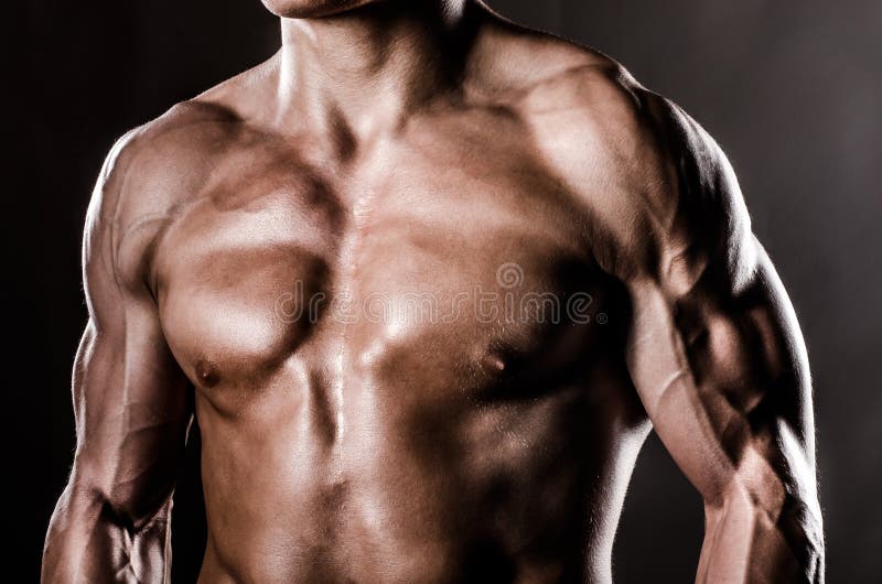 Muscle male chest stock photo. Image of body, strong - 52431658