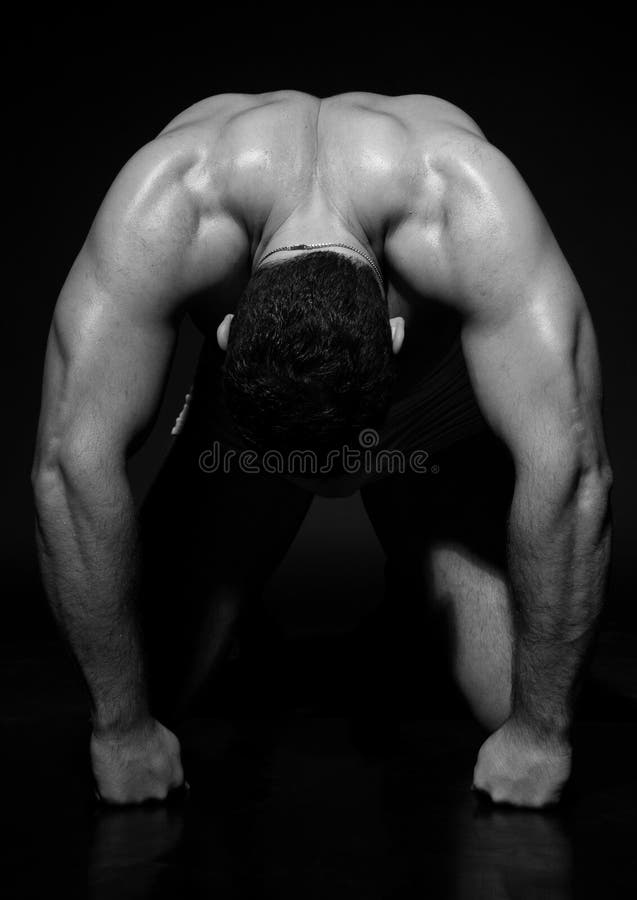 Muscle male model stock image. Image of masculinity, strength - 12102783