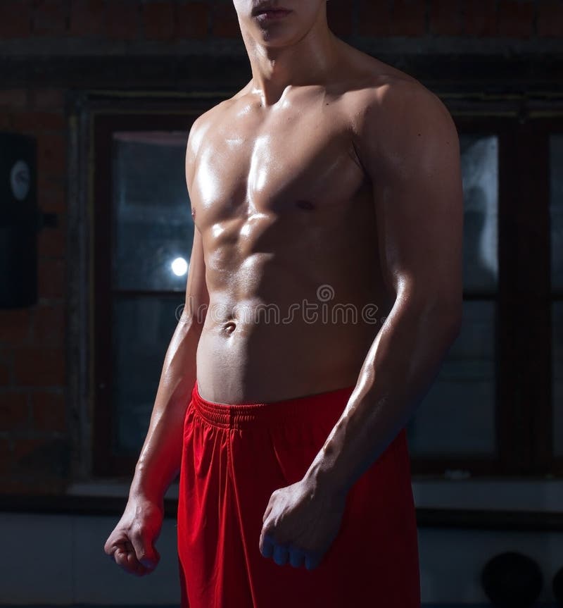 Muscle man torso stock photo. Image of athlete, bodybuilder - 70909826