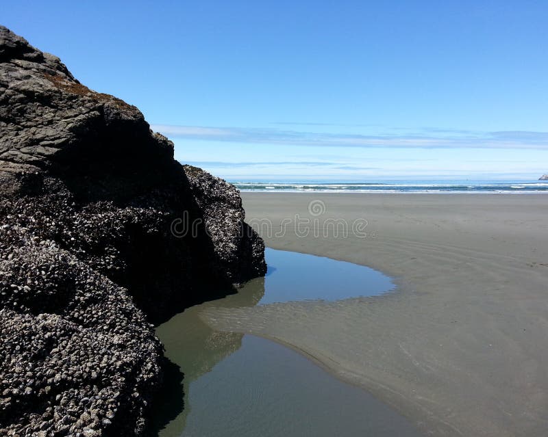 Mussel Rock and Tidepool stock photo. Image of life, bright - 93771586