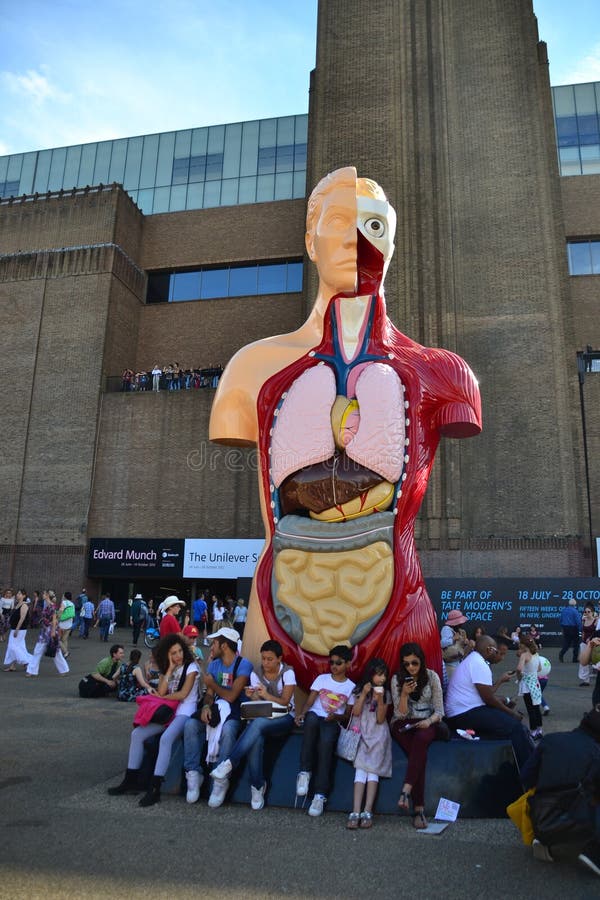 Muscle Sculpture at Tate Modern, London Editorial Stock Image - Image ...