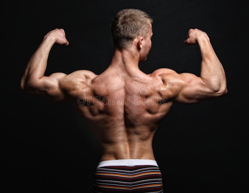 Muscle back of bodybuilder stock photo. Image of model - 19351638