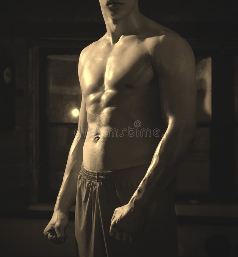 Muscle man torso stock image. Image of male, healthy - 98721037