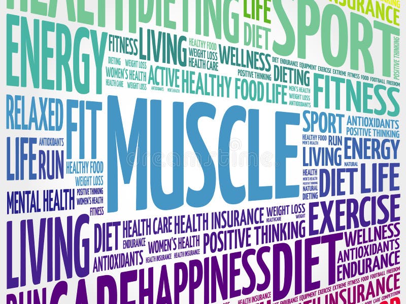 Muscle word cloud stock illustration. Illustration of mass - 205351154
