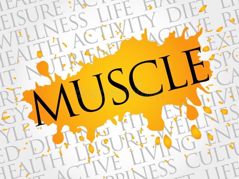Muscle word cloud stock illustration. Illustration of abdomen - 200039244