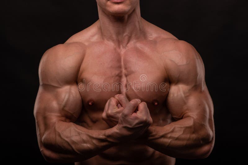 Muscled model stock photo. Image of torso, healthy, athletic - 211019676