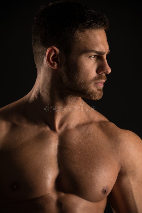 Bear gay muscle Free Stock Photos - StockFreeImages