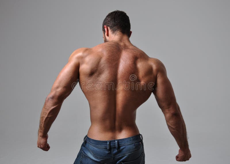 Male back stock image. Image of sportsmen, athlete, masculinity - 104607159