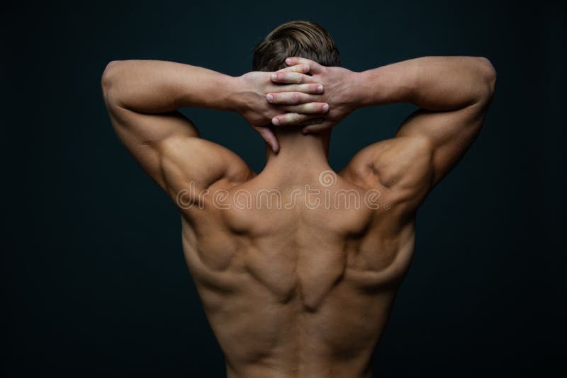Male back stock photo. Image of torso, fitness, strong - 192133788