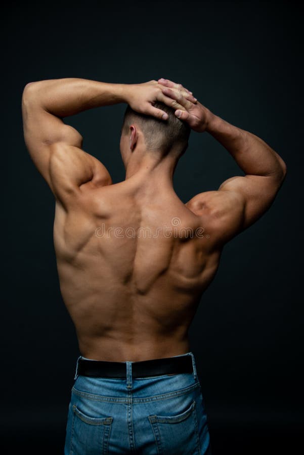 Male back stock photo. Image of muscular, macho, muscle - 192133796