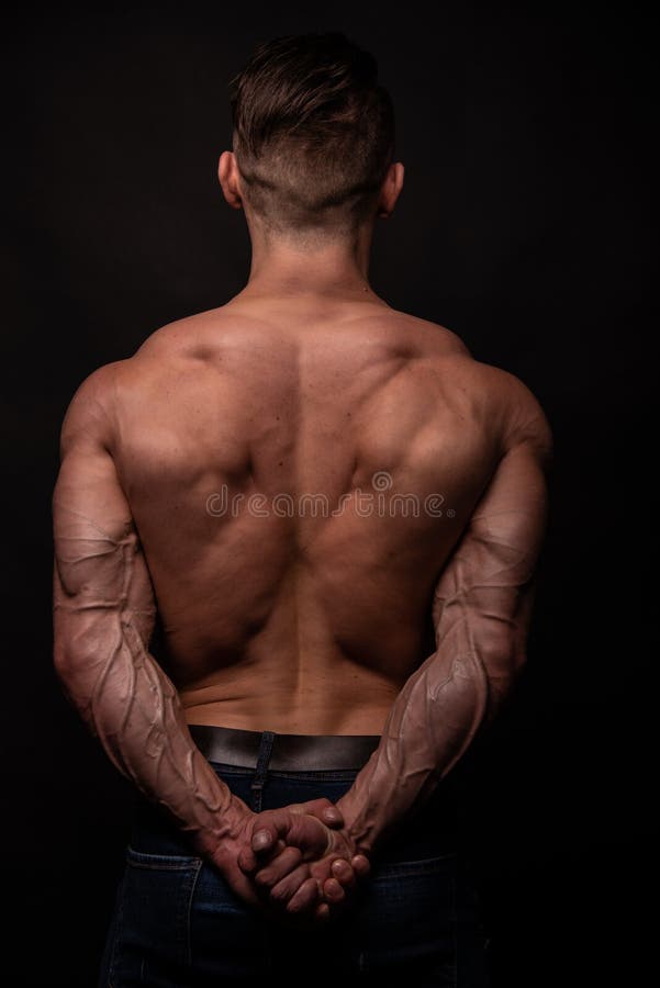 Male back stock photo. Image of fitness, toned, handsome - 211019744