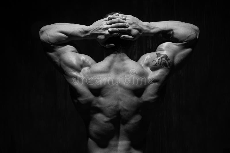 Male back stock photo. Image of strong, model, bottom - 240200944