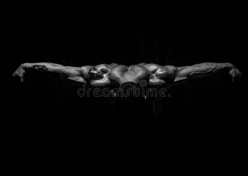 Male back stock image. Image of male, sportsmen, model - 240201239