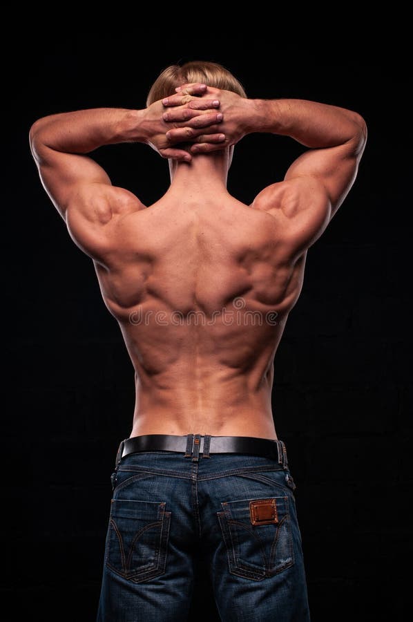 Male back stock image. Image of biceps, strong, toned - 244432421
