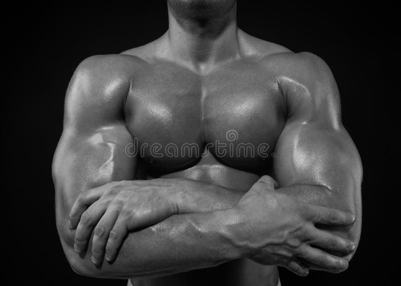 Male torso stock image. Image of masculinity, weight - 181174341